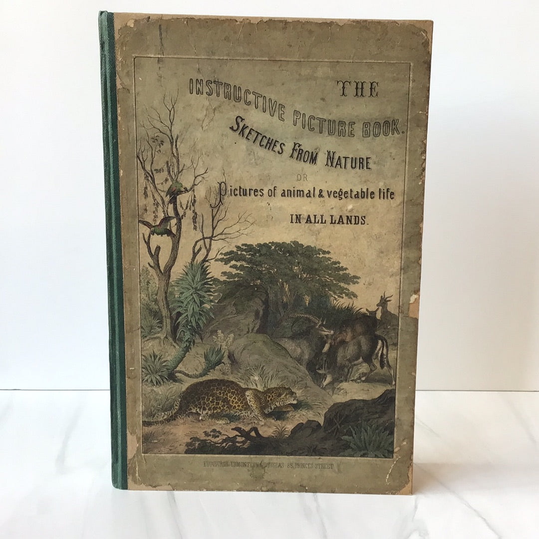 -The Instructive Picture Book* – Moons Rare Books